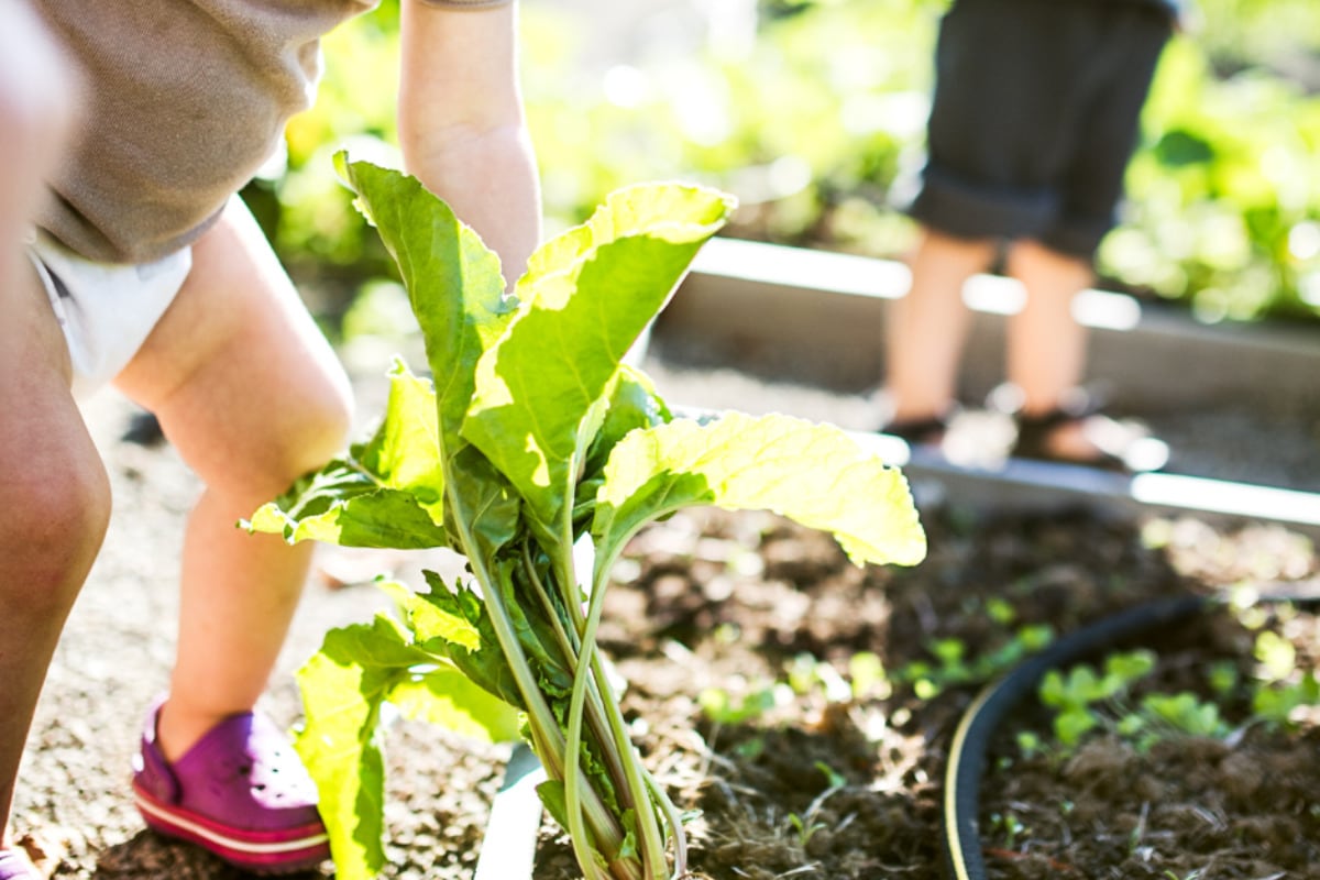 Our Programs - Mt Coolum Early Learning